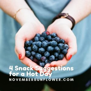 4 Snack Suggestions for a Hot Day