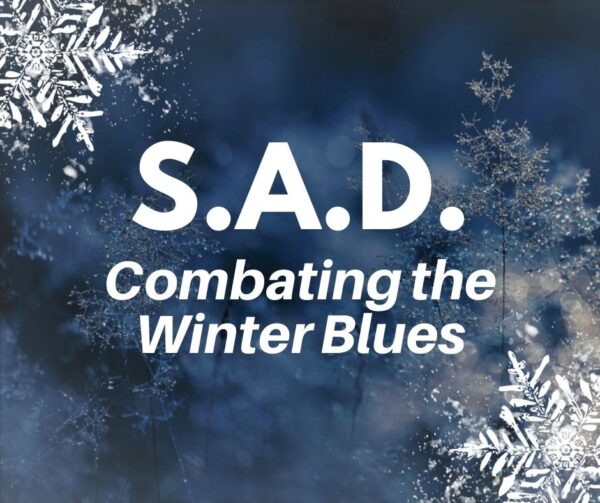 Combat Seasonal Affecting Disorder | November Sunflower