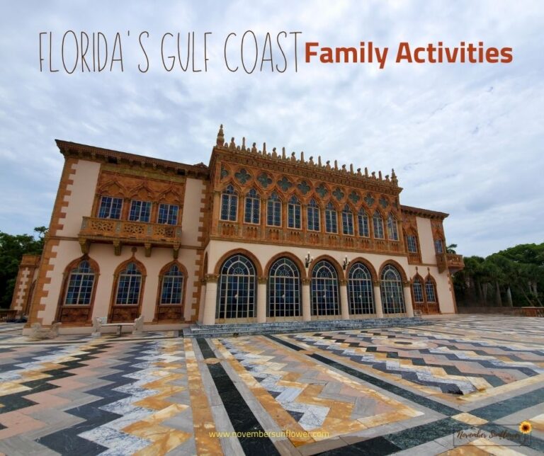 Best Family Activities on Florida’s West Coast | November Sunflower