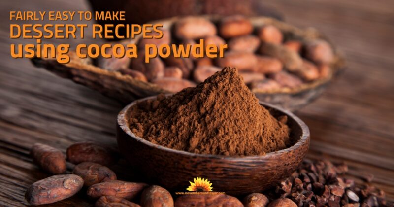 Simple Cocoa Powder Recipes | November Sunflower
