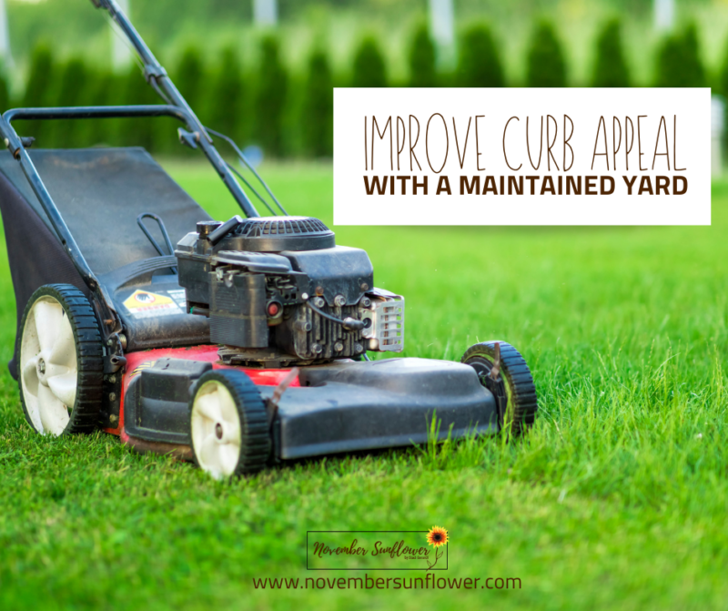Improve Curb Appeal with a Maintained Yard | November Sunflower