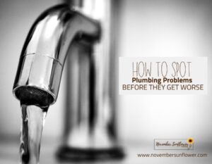 Spotting Plumbing Problems Early | November Sunflower